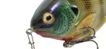 calfishing.com - Black Dog Baits - Shellcracker