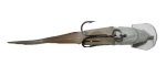 calfishing.com - Castaic Gizzard Shad